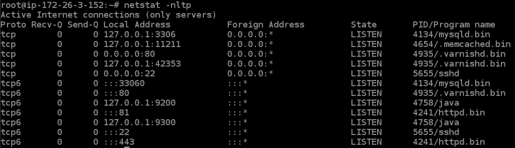 How to Setup Magento on AWS using Lightsail? – Supportfly Blog